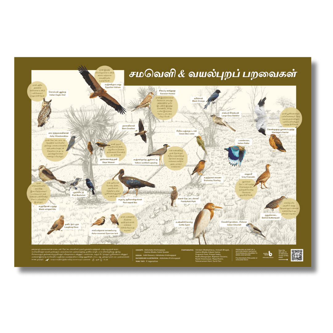 Early Bird Poster - Grassland and Farmland Birds