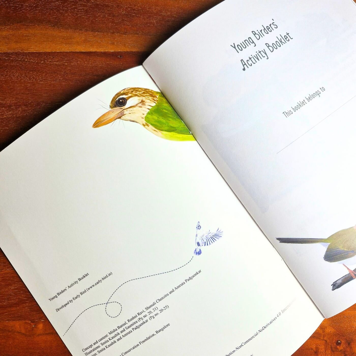 Young-Birders-Activity-Booklet