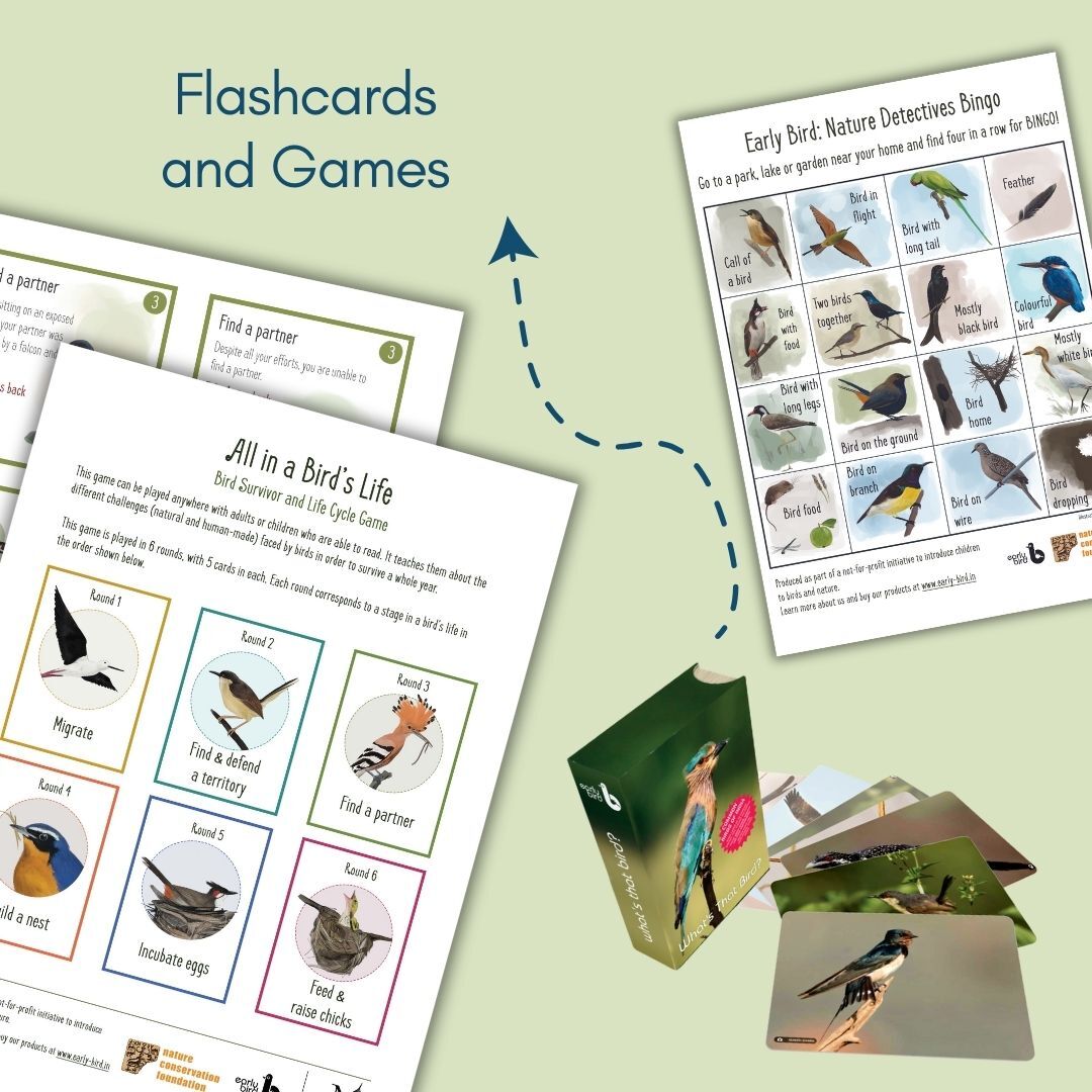 Young Birders' Kit