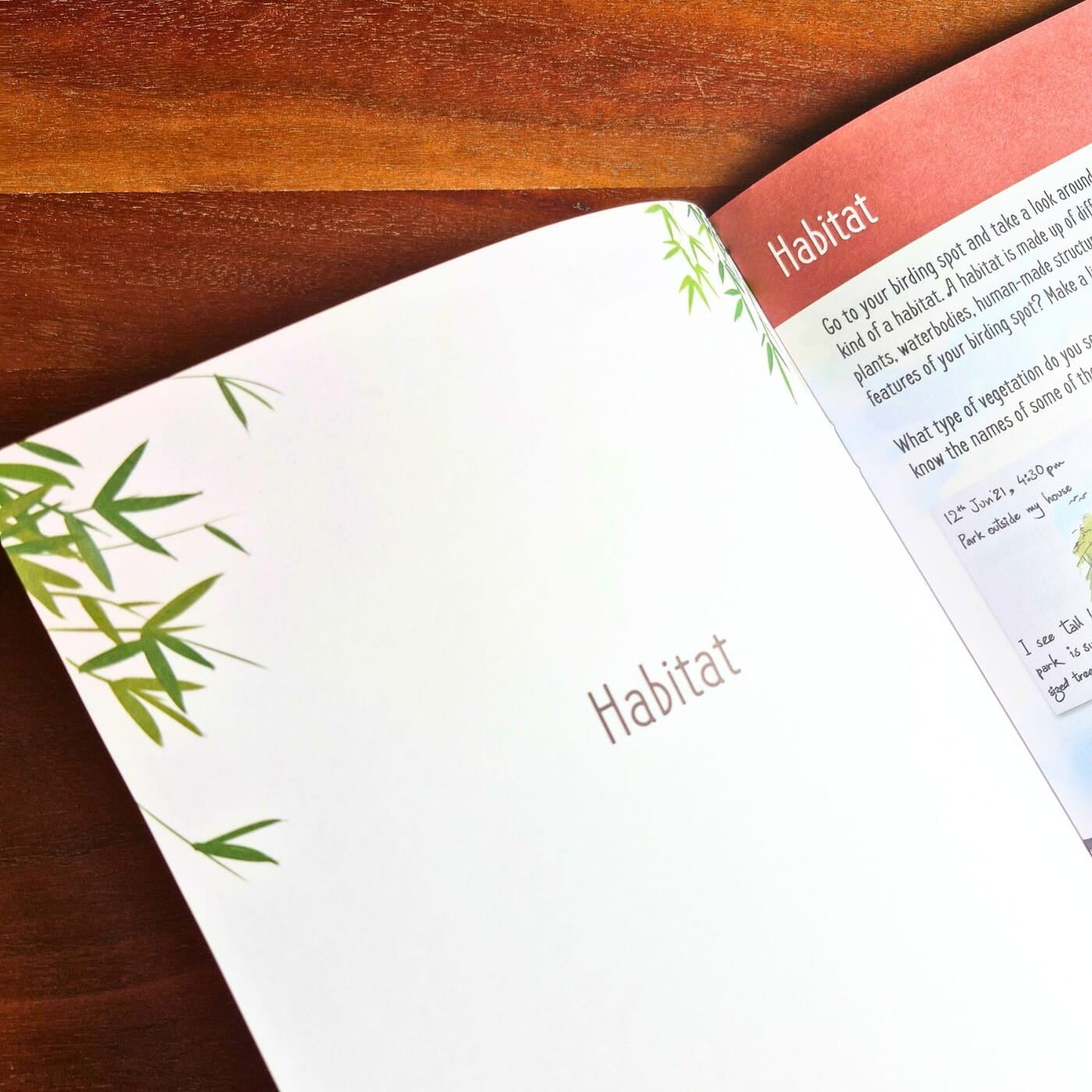 Young-Birders-Activity-Booklet