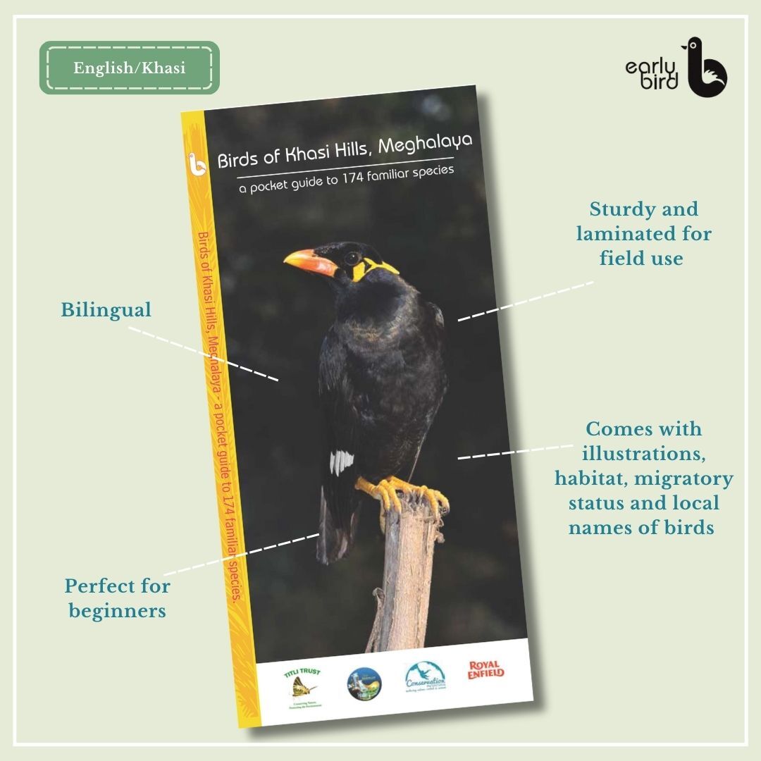 Early Bird Pocket Guides - Bulk Purchase of 50