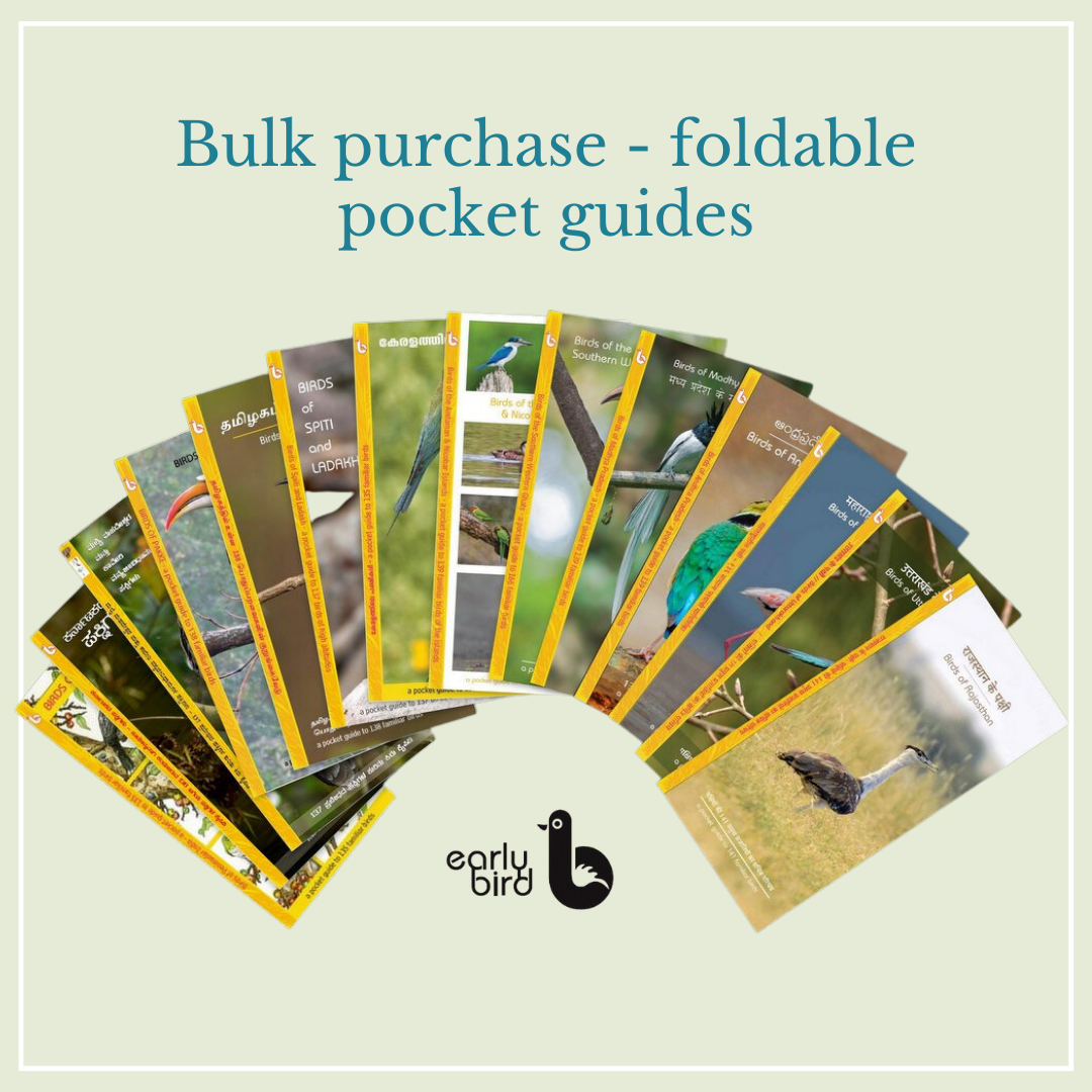Early Bird Pocket Guides - Bulk Purchase of 50