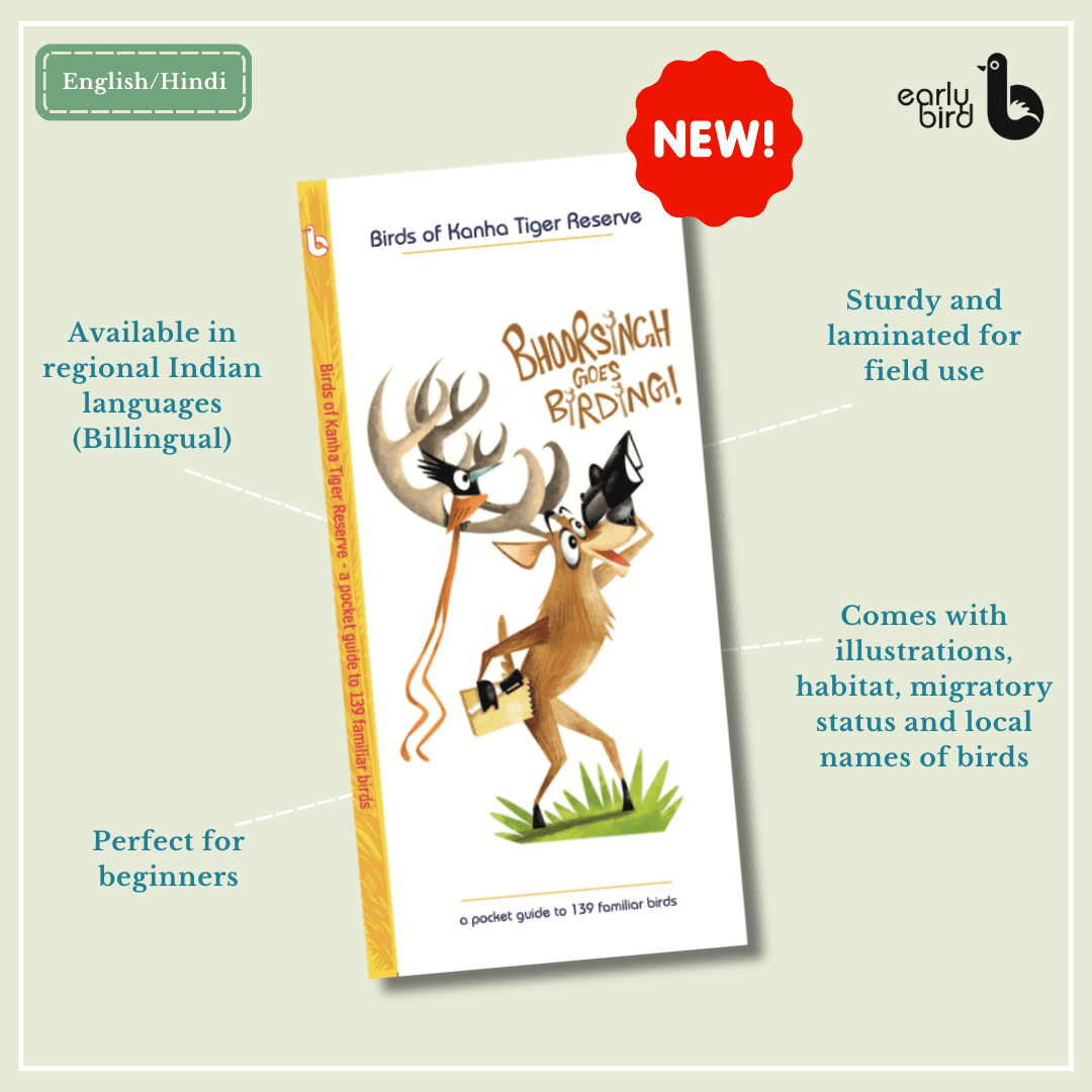 Early Bird Pocket Guides - Bulk Purchase of 50