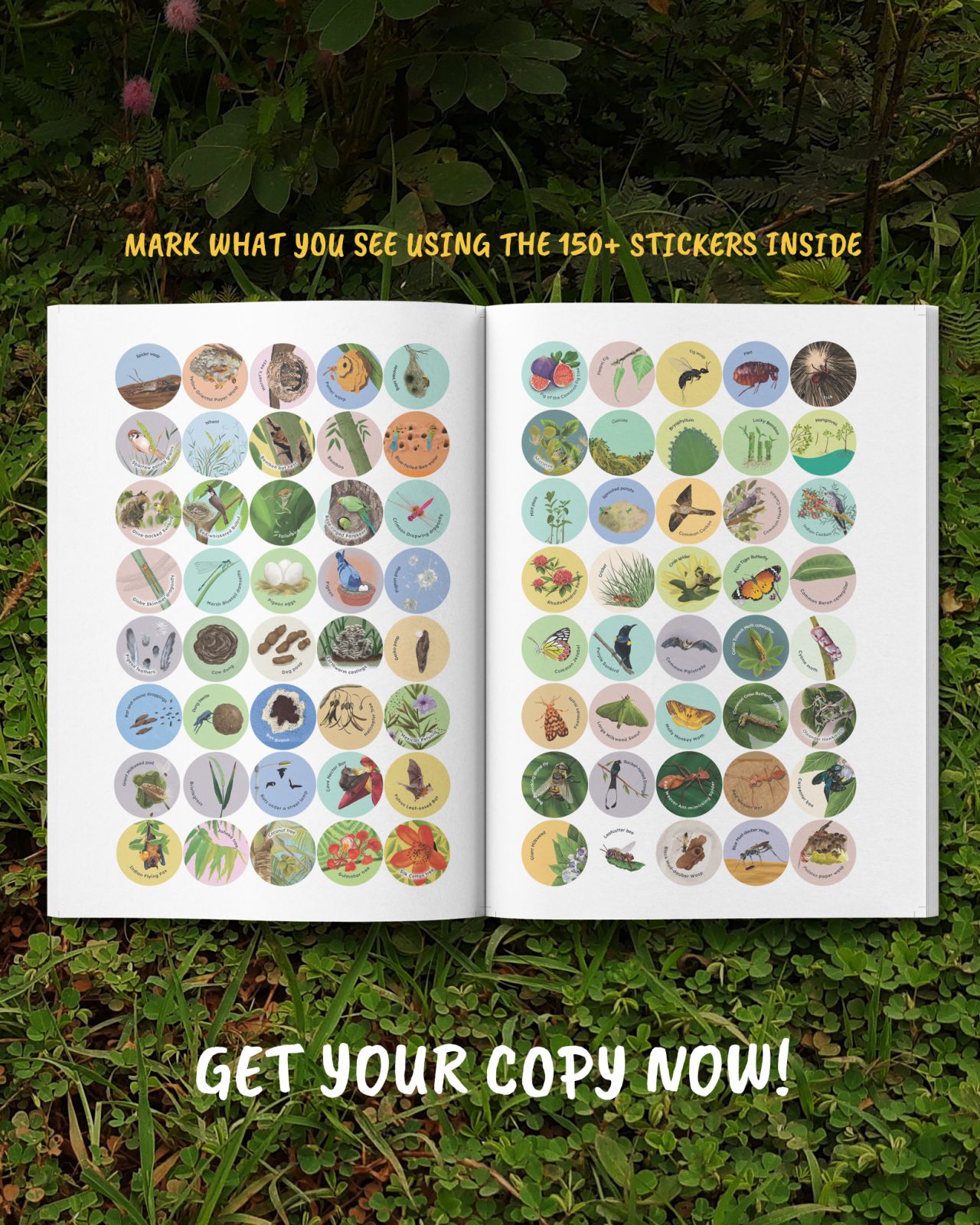 Be a Neighbourhood Naturalist : Explore Nature With Activities and ...