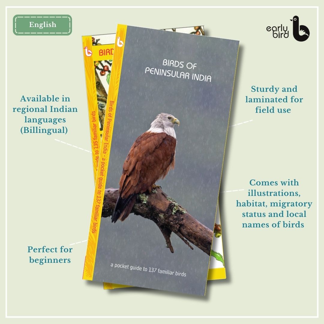 Early Bird Pocket Guides